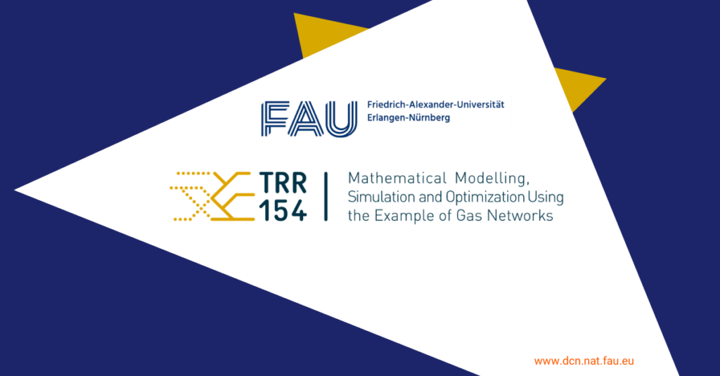 Approximating Steady State Maxwells Equations Via Physics Informed